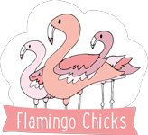 Flamingo Chicks – A multi-award winning inclusive community giving ...